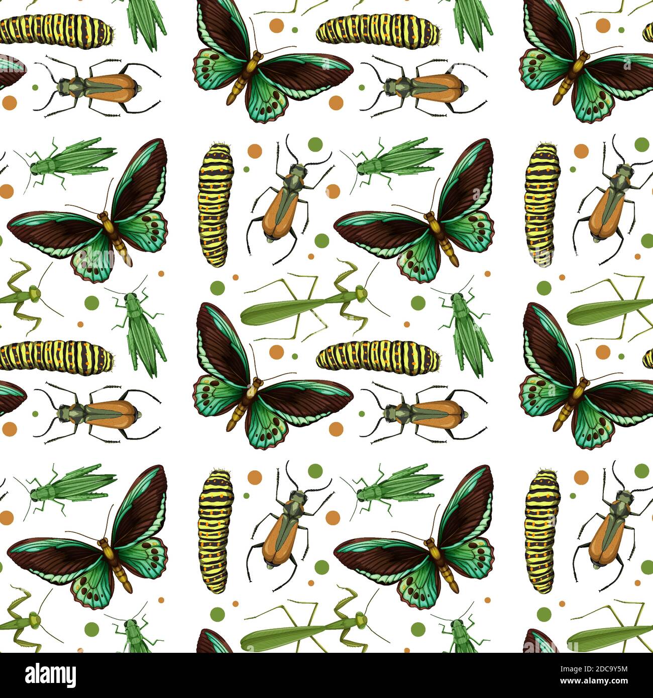 Different insects seamless pattern white background illustration Stock ...