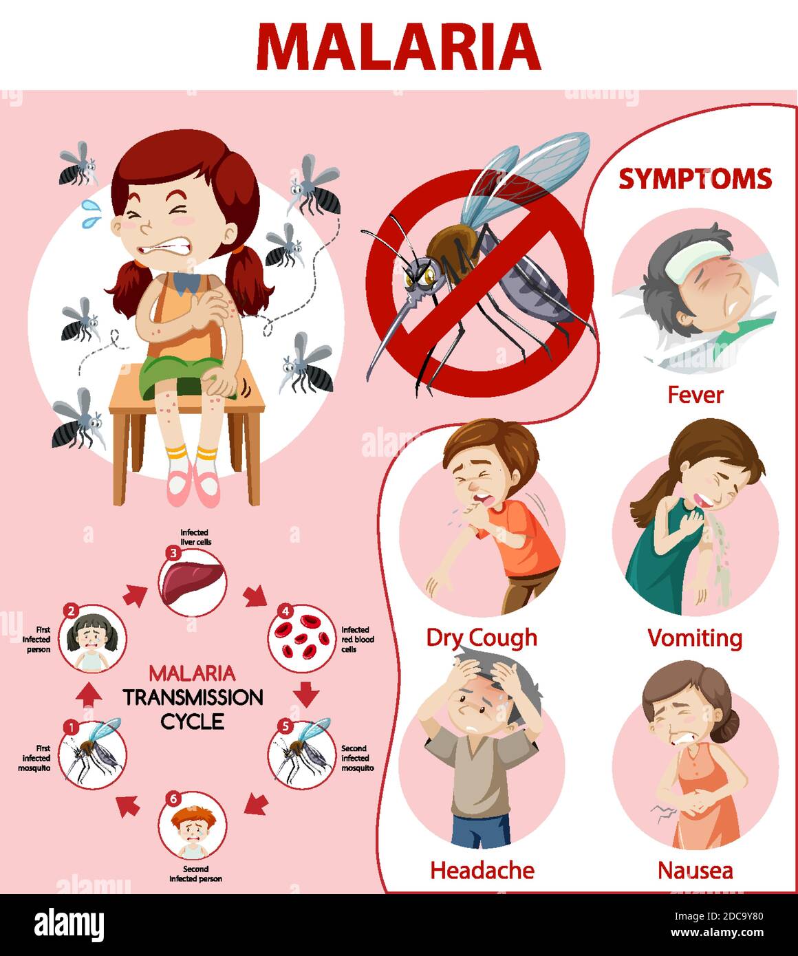 Malaria symptom information infographic illustration Stock Vector Image ...