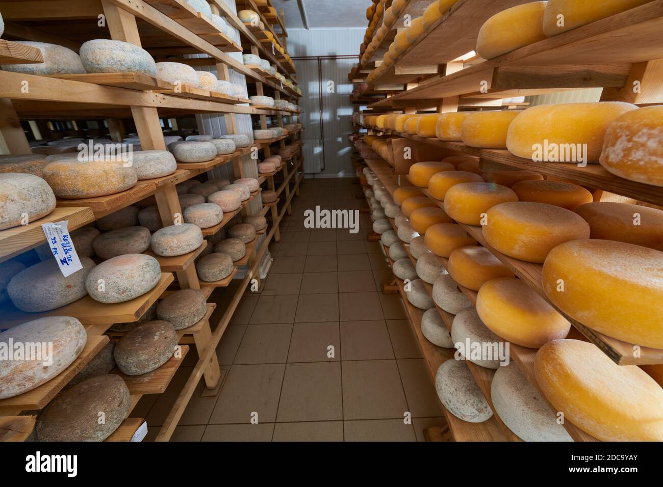 Cheese factory production shelves with aging old cheese Stock Photo - Alamy