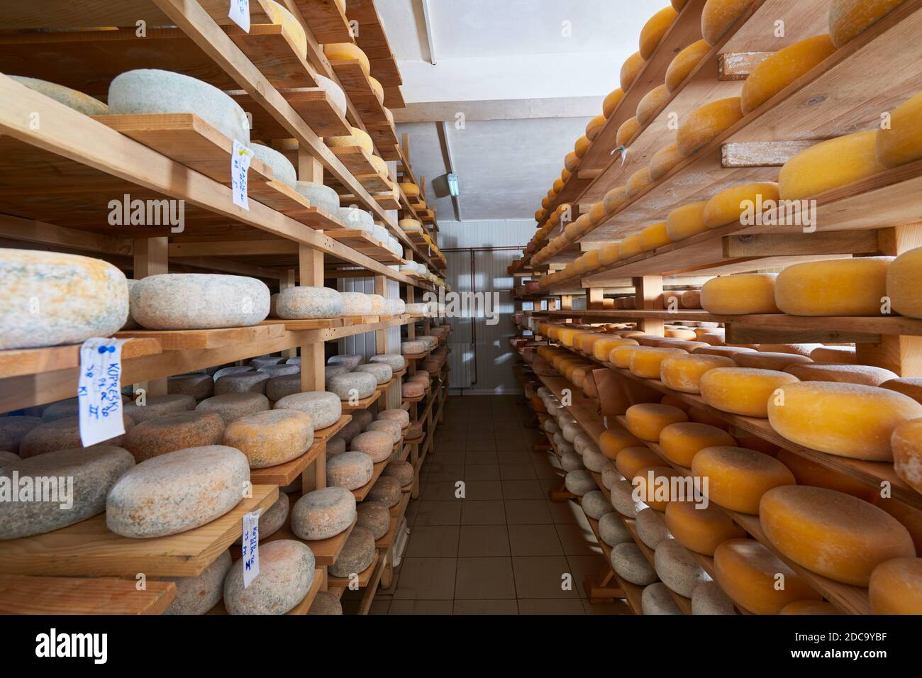 Cheese factory production shelves with aging old cheese Stock Photo - Alamy