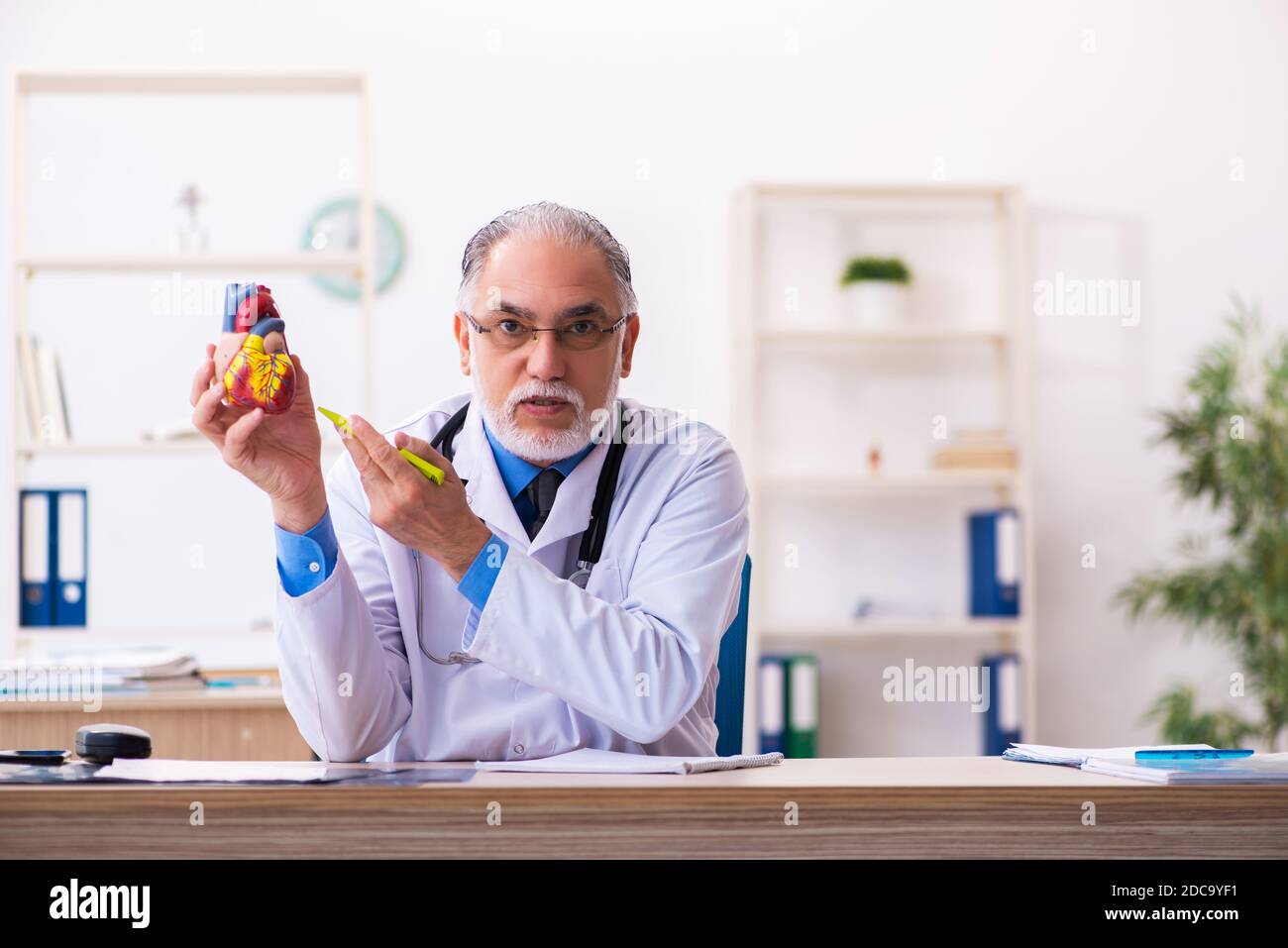 Senior male doctor cardiologist holding heart model Stock Photo - Alamy