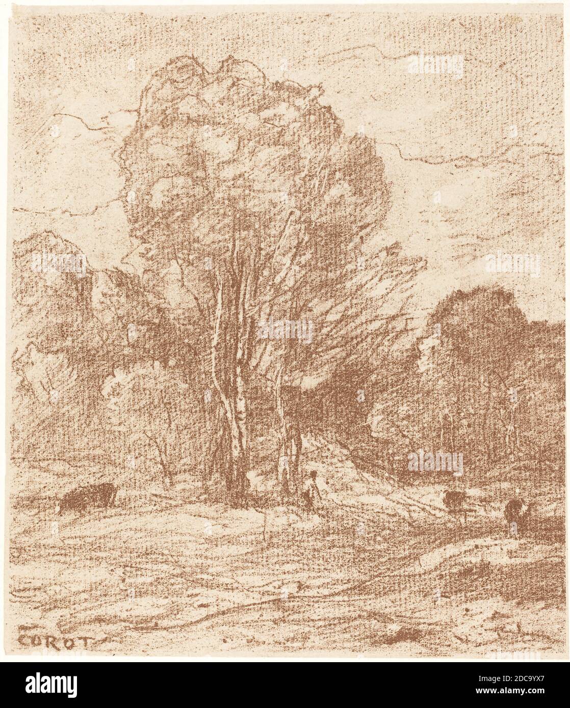 Drowsing cattle hi-res stock photography and images - Alamy