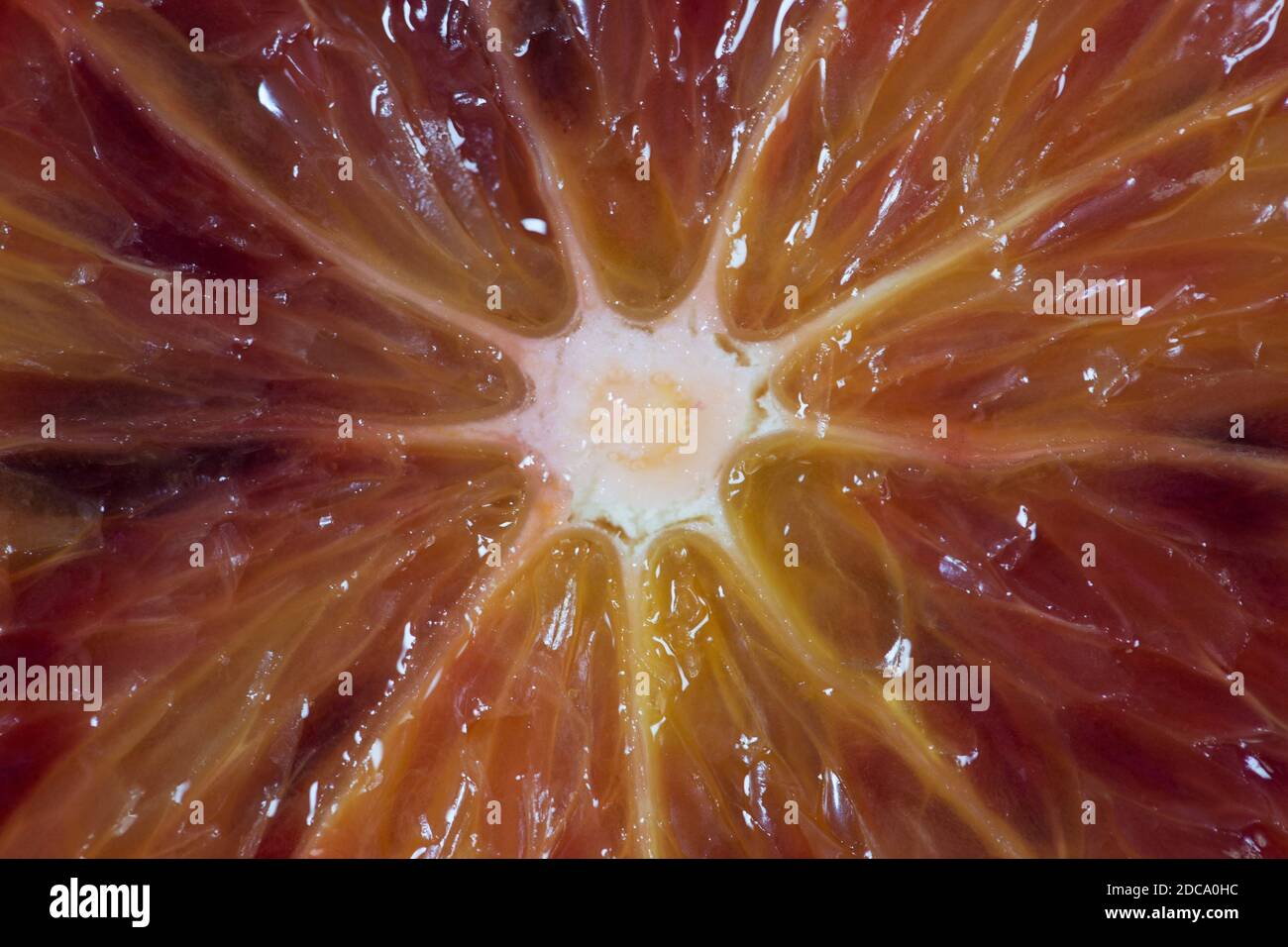 Blood orange segments hi-res stock photography and images - Alamy