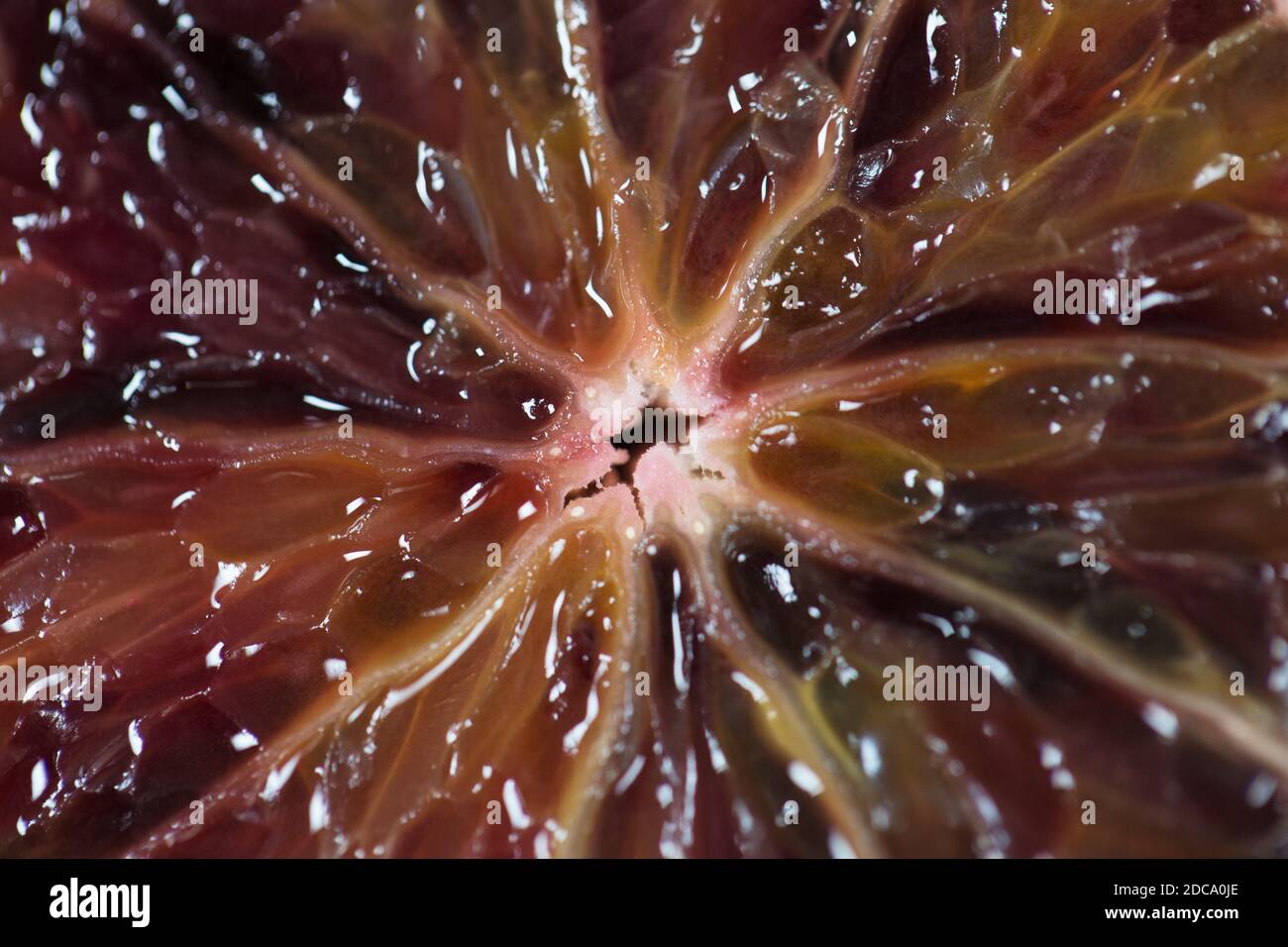 Blood orange segments hi-res stock photography and images - Alamy