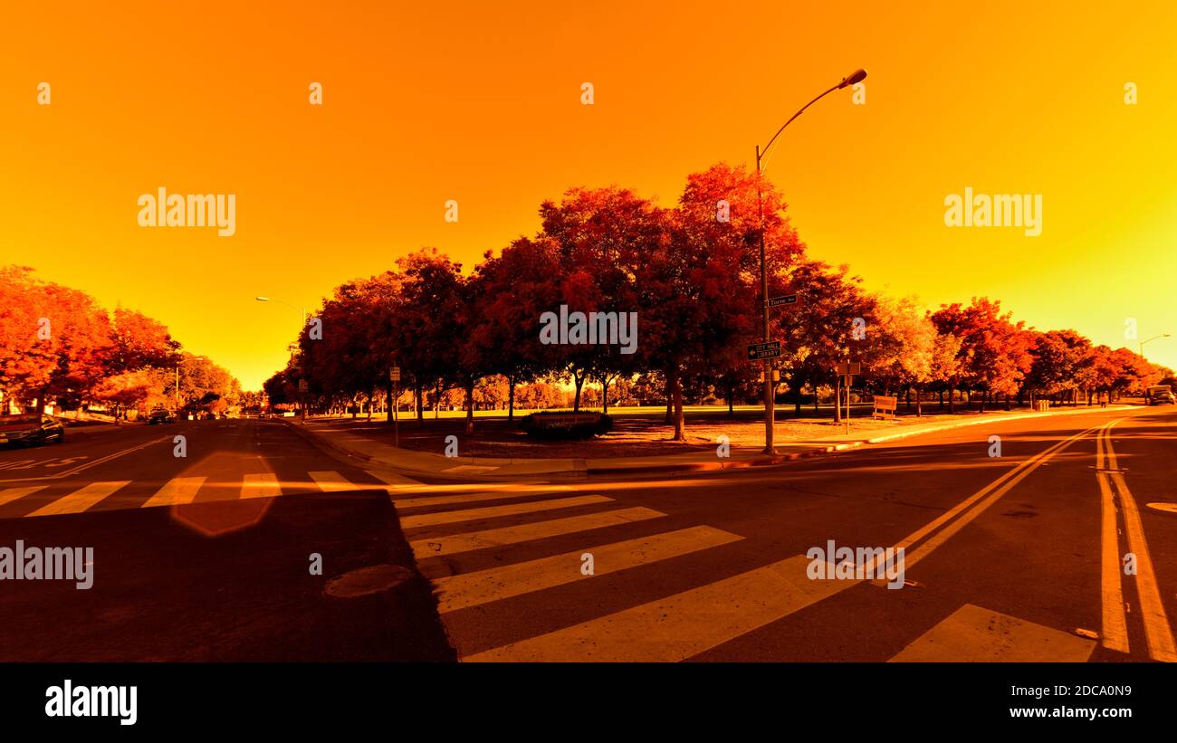 Mesmerizing colors hi-res stock photography and images - Alamy