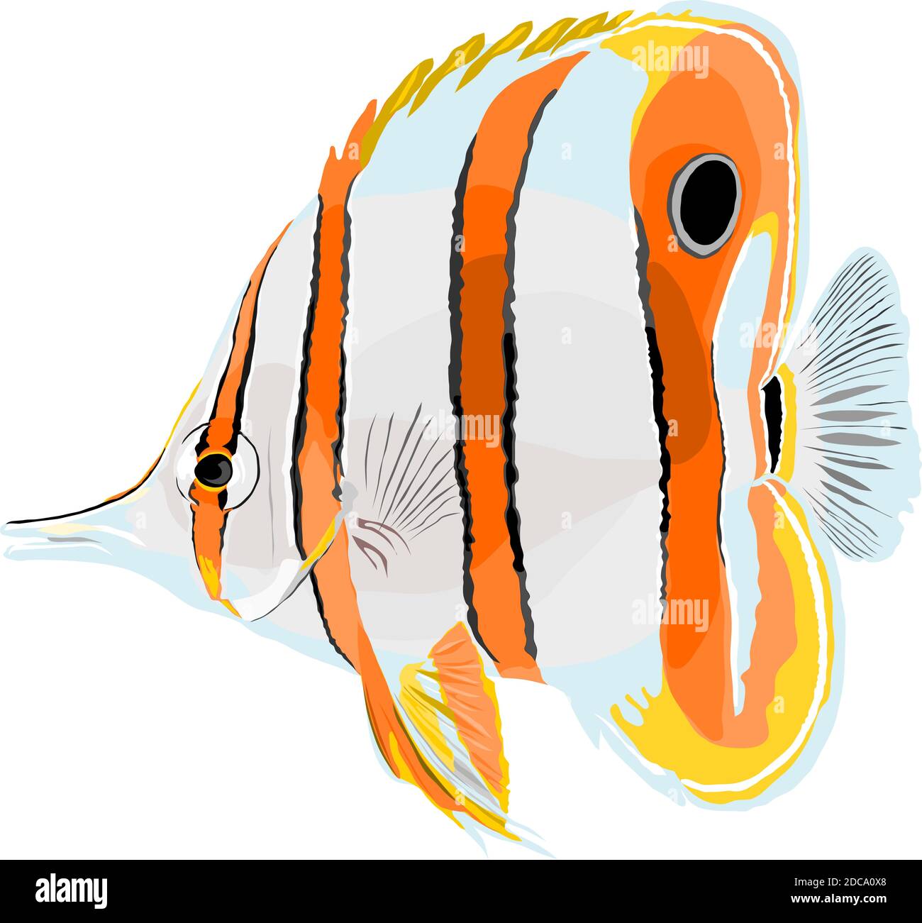 Copper band hi-res stock photography and images - Alamy