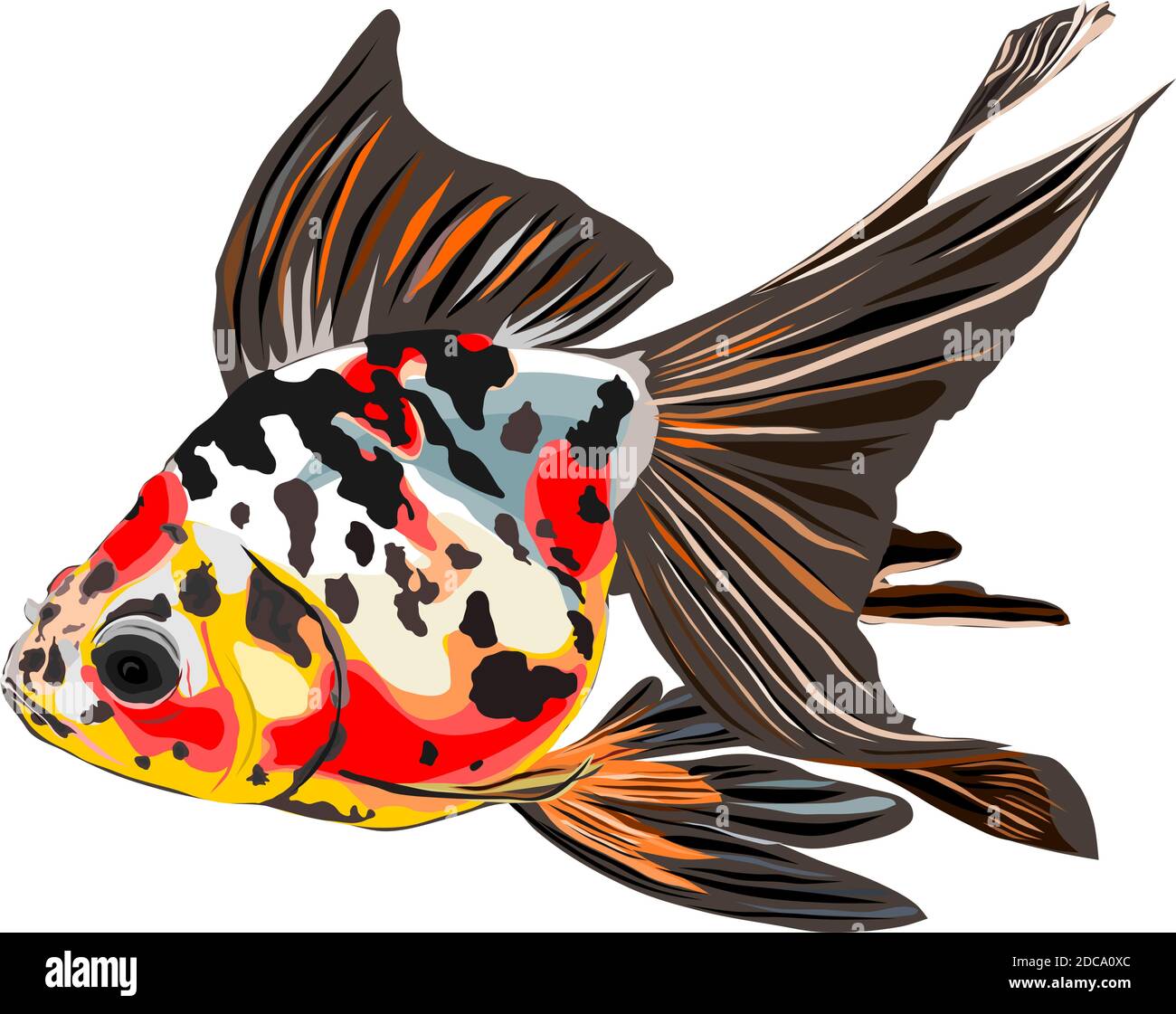 Vector of goldfish Stock Vector Image & Art - Alamy