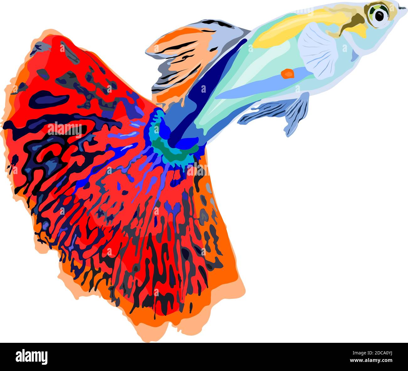 Fancy guppy Stock Vector Images - Alamy