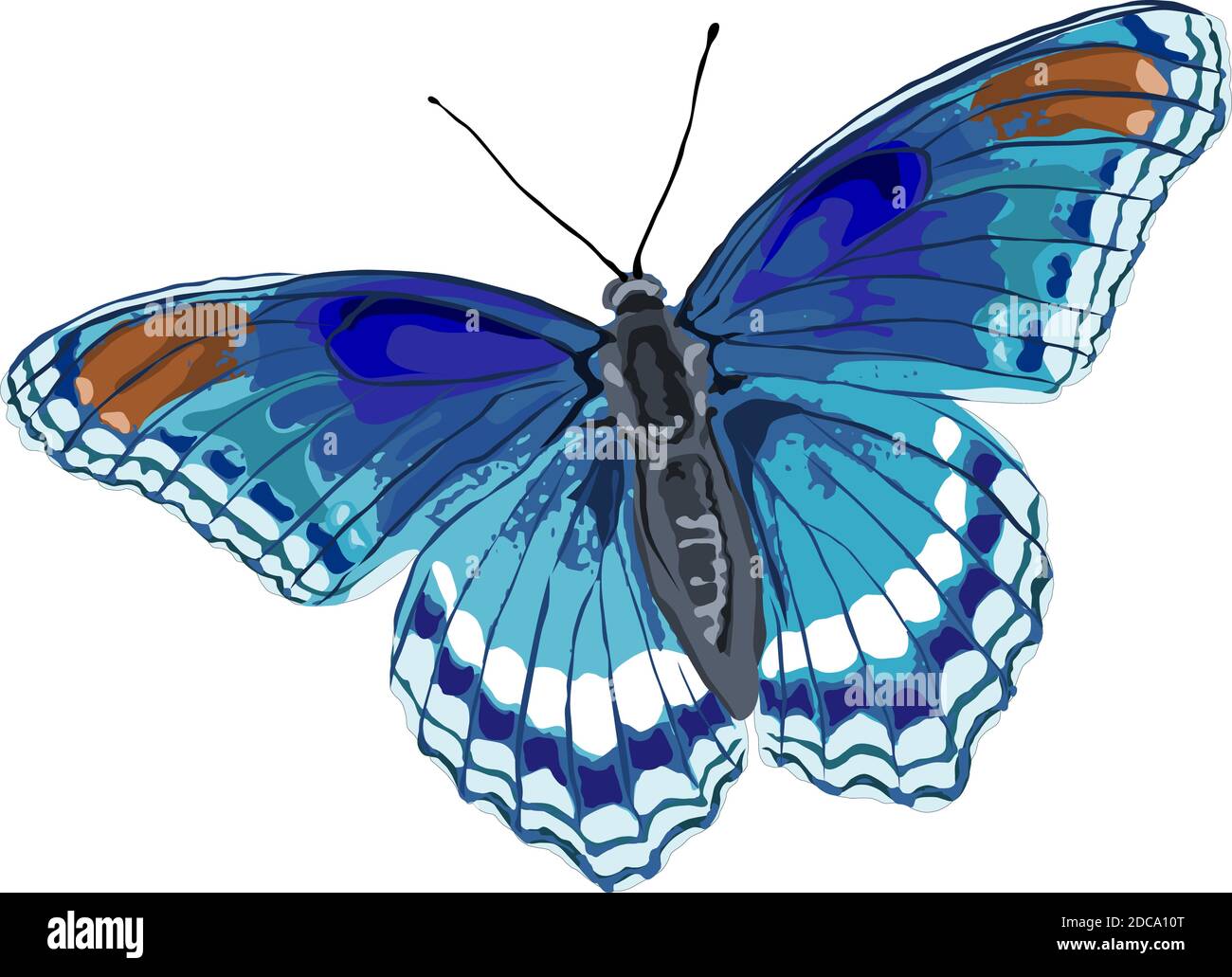 Vector of butterfly Stock Vector Image & Art - Alamy