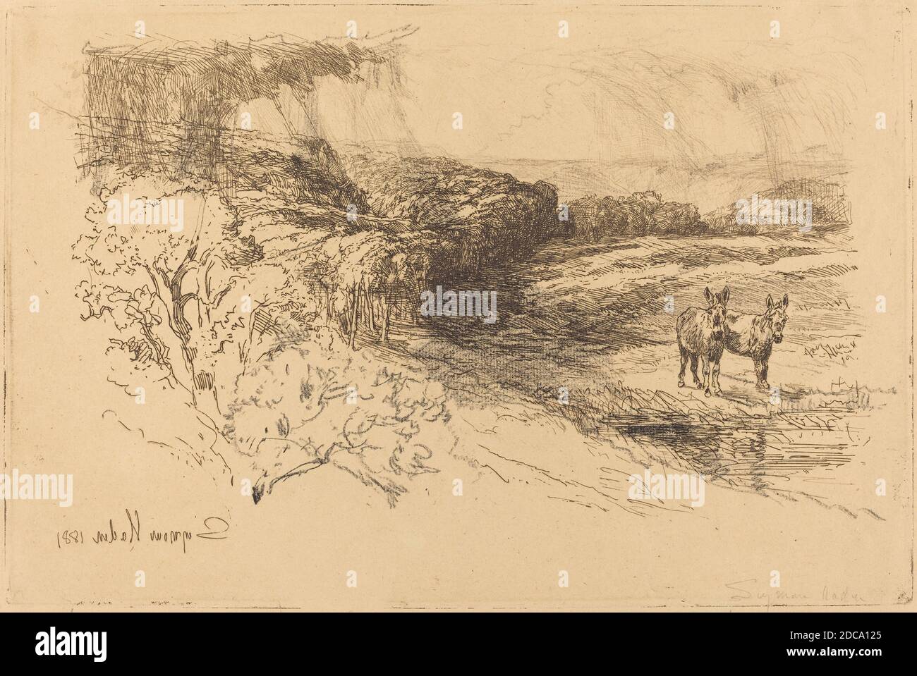 Francis Seymour Haden, (artist), British, 1818 - 1910, Encombe Woods ...
