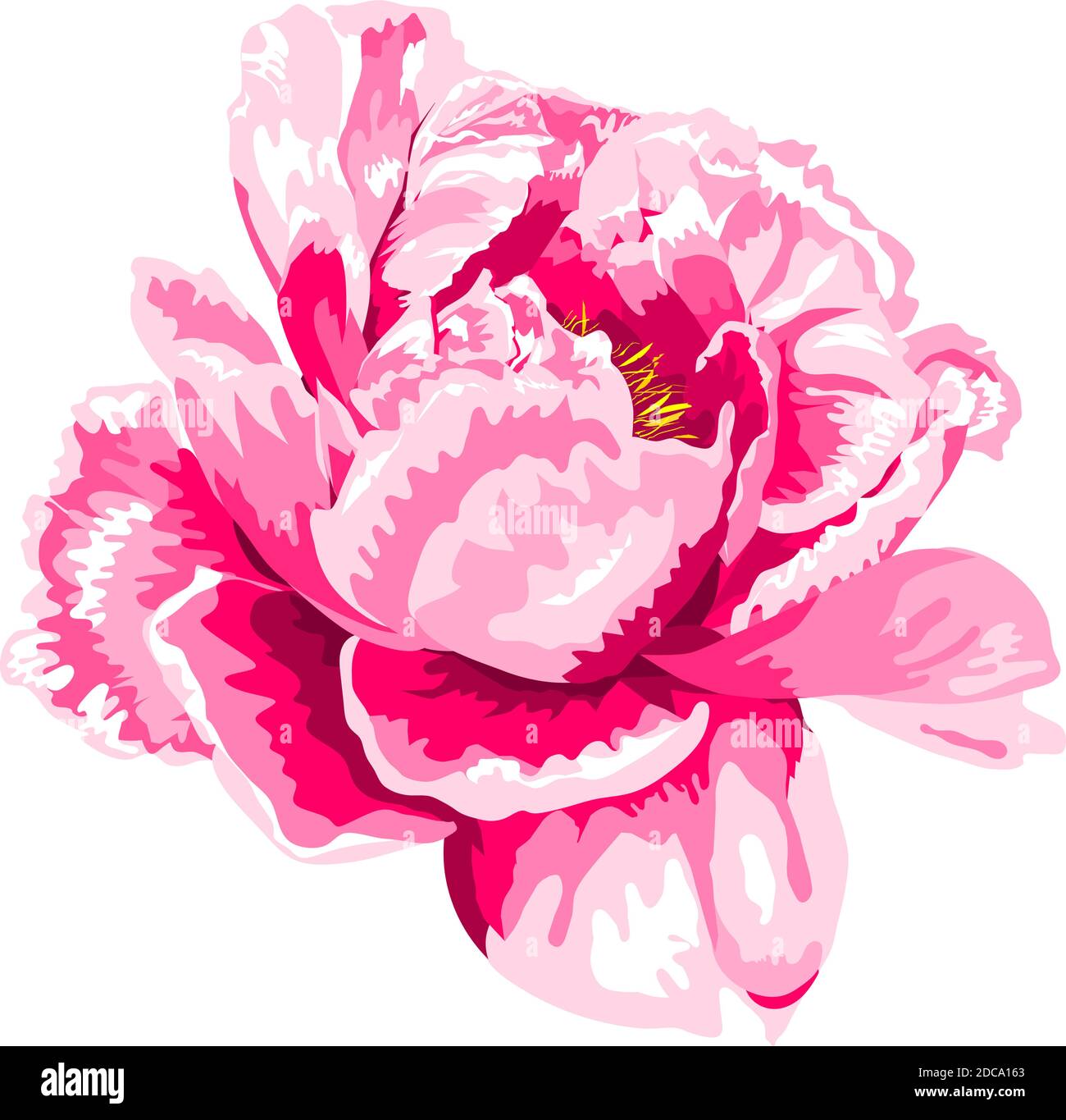 Vector of peony flower Stock Vector Image & Art - Alamy
