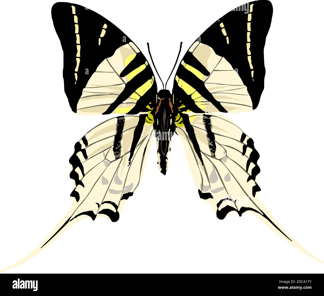 Vector of butterfly Stock Vector Image & Art - Alamy