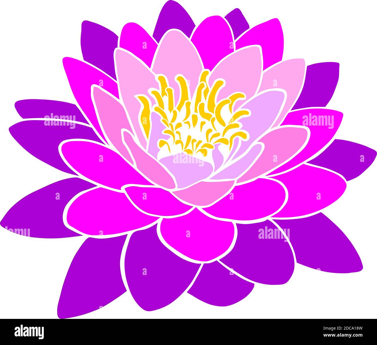 Vector of lotus flower Stock Vector Image & Art - Alamy