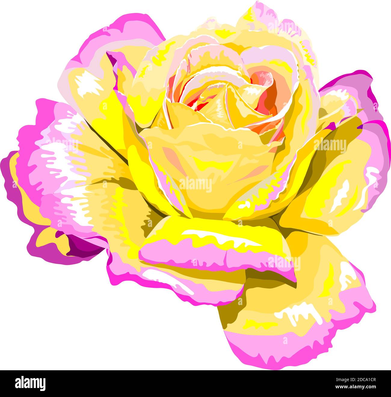 Vector of rose flower Stock Vector Image & Art - Alamy