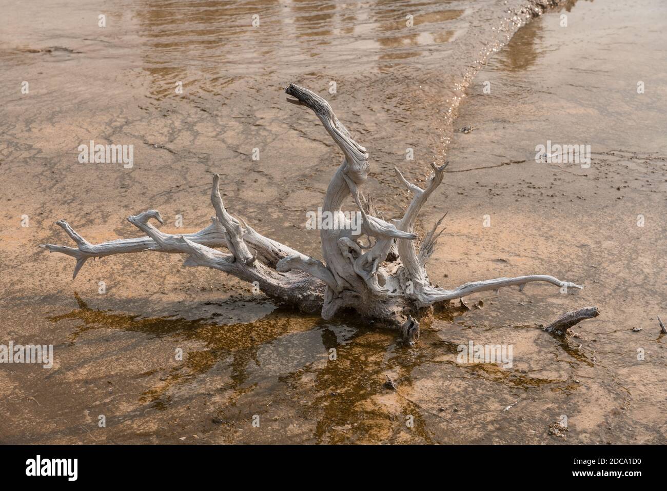 Silica colour hi-res stock photography and images - Alamy