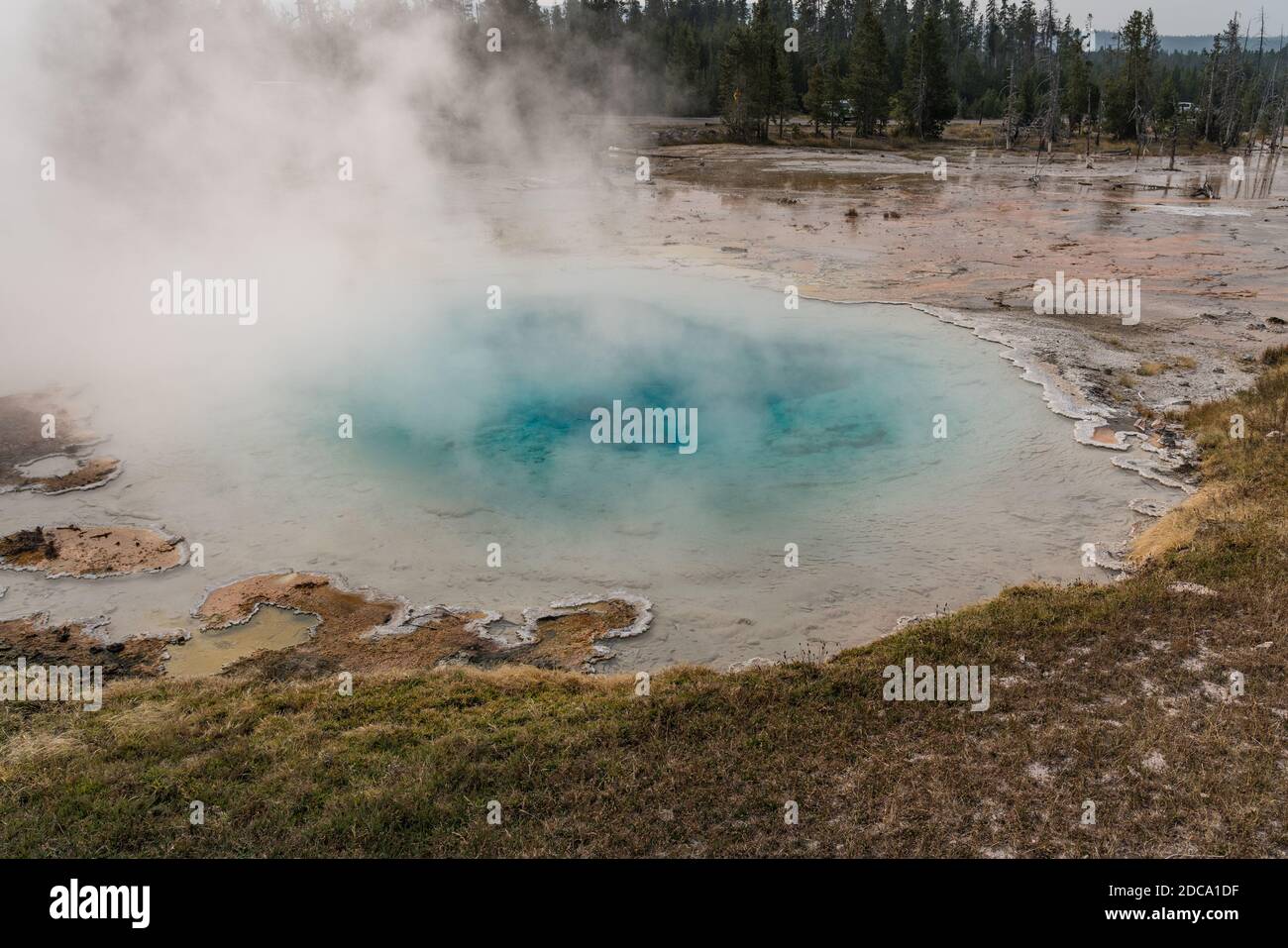 Steam rises off Silex Spring in Lower Geyser Basin in Yellowstone ...
