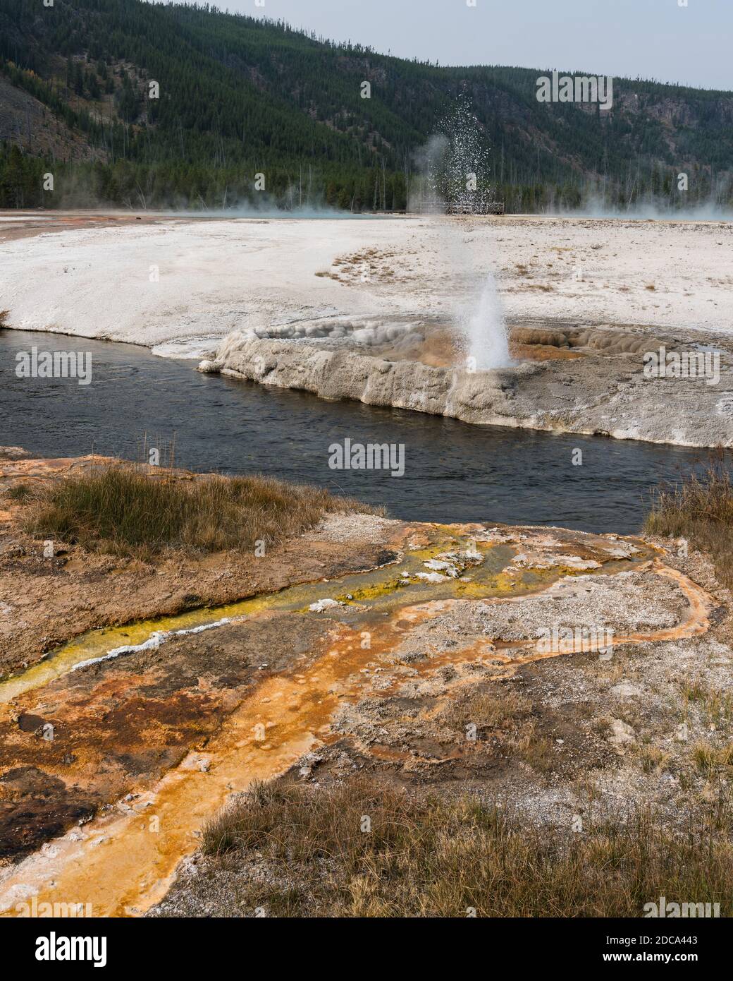Water from hot springs with a mat of colorful thermophilic bacteria ...