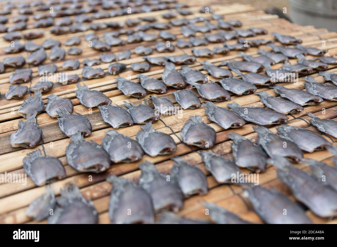 Bamboo mat texture hi-res stock photography and images - Alamy