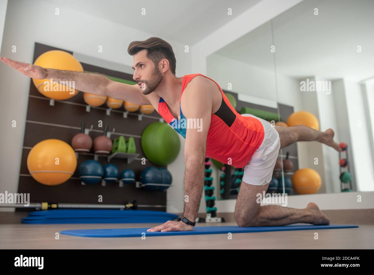 Bearded male practising bird dog exercise in the gym Stock Photo - Alamy