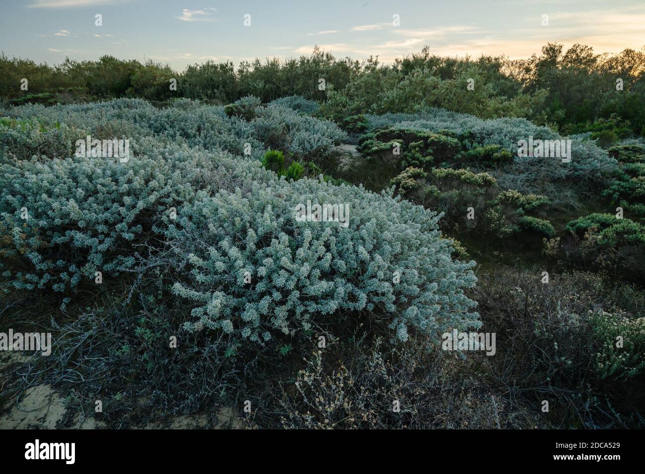 Walk through several diverse natural habitats for viewing flora and ...