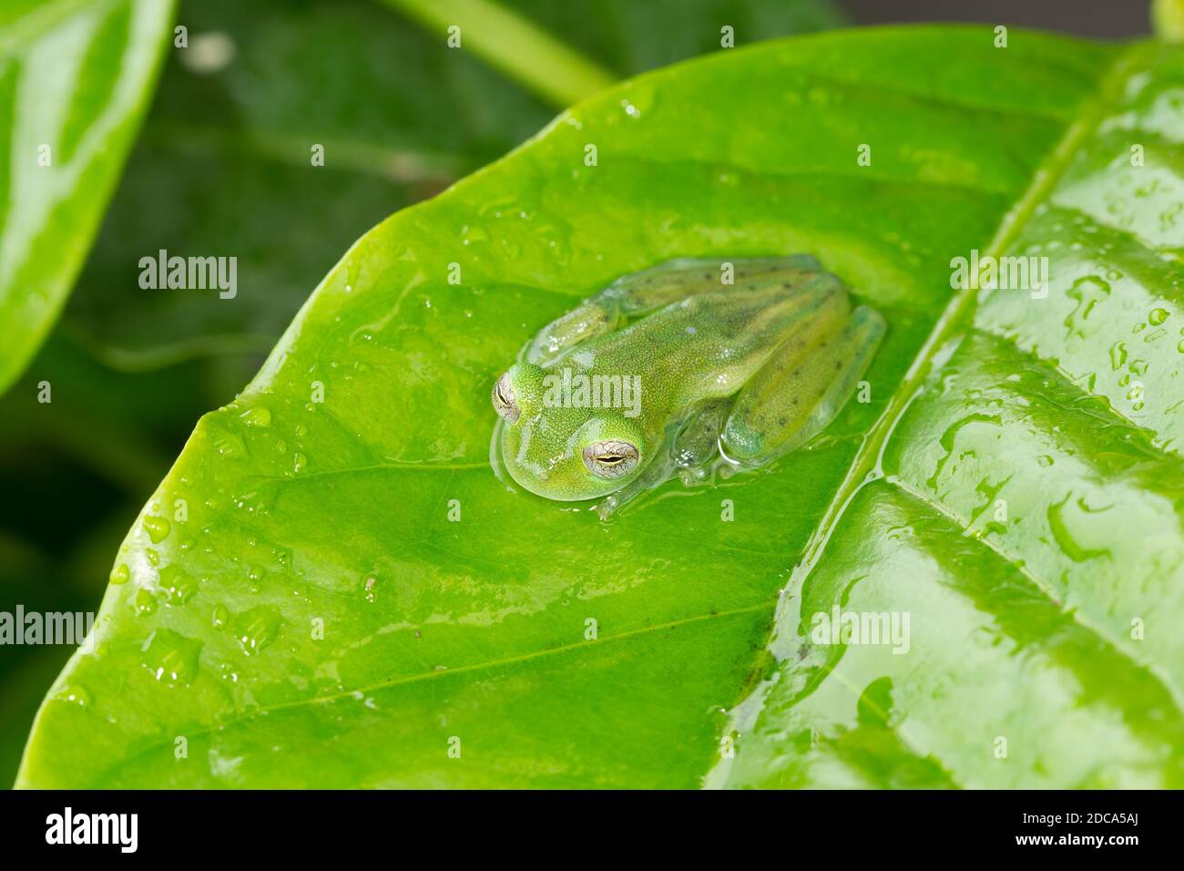 Granular fill hi-res stock photography and images - Alamy