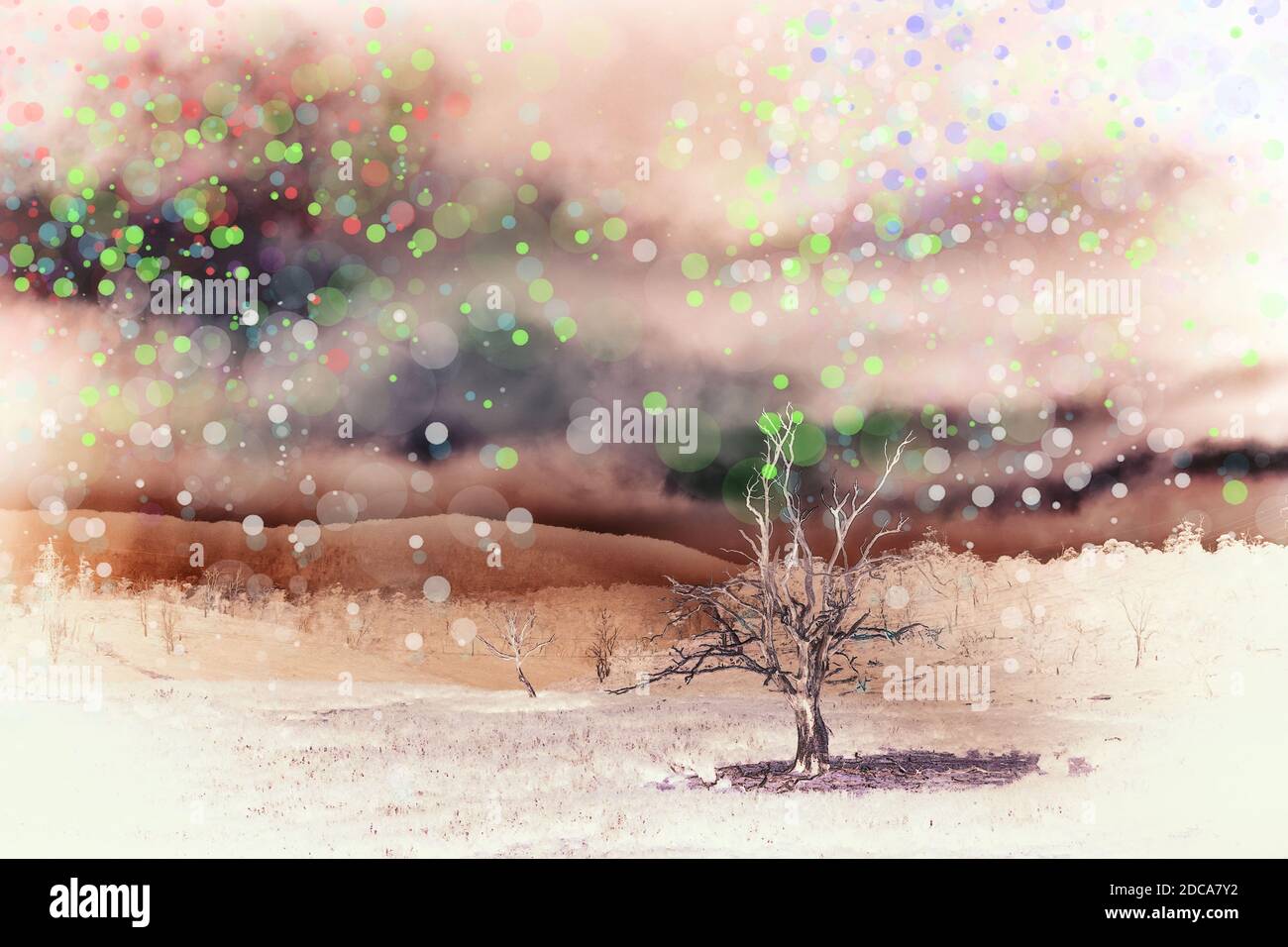 stylized tree with inverted treatment Stock Photo - Alamy