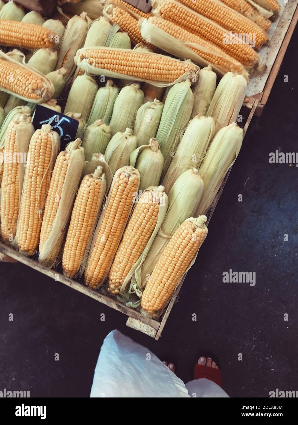 Agriculture. Ripe corn in boxes Stock Photo - Alamy