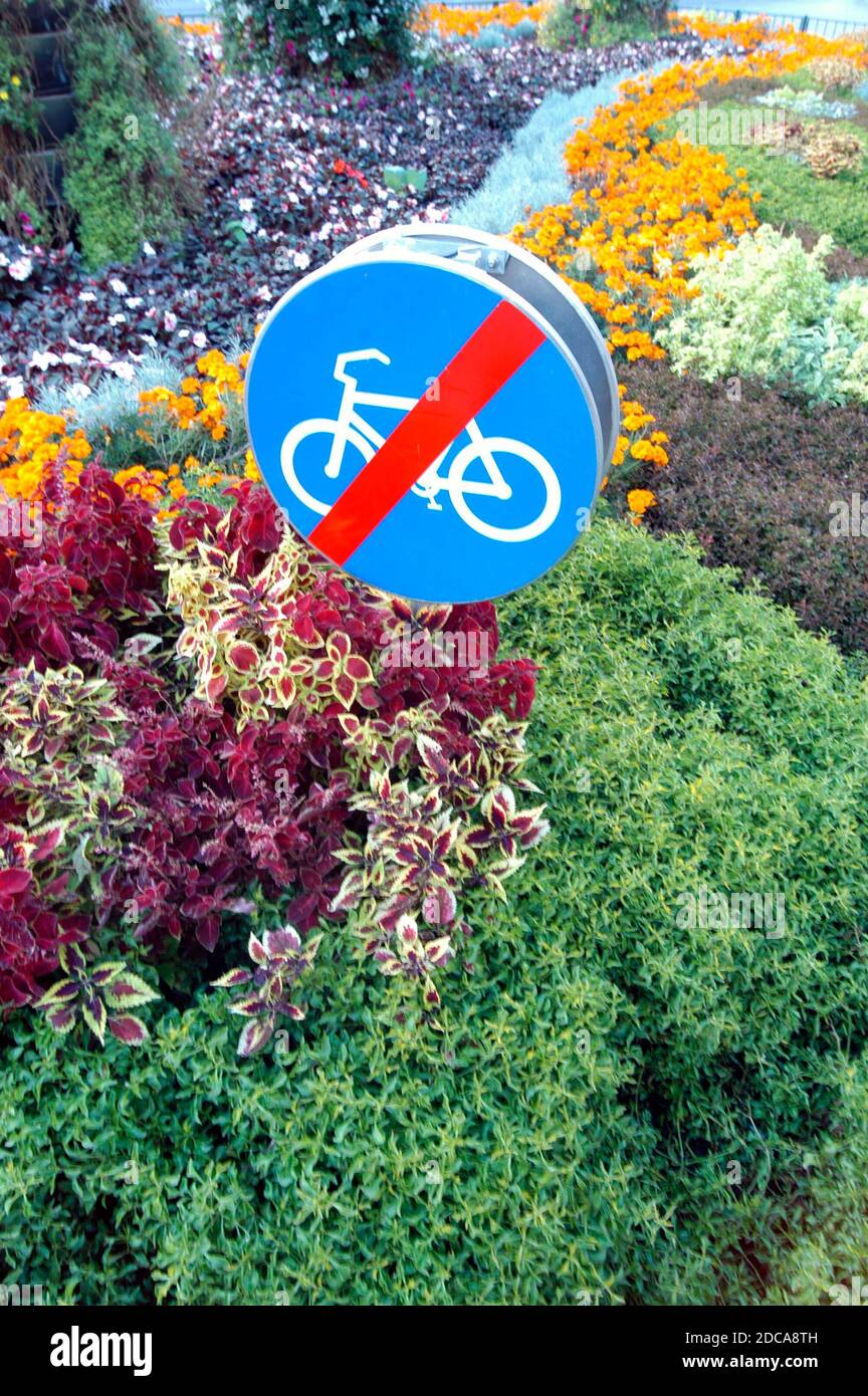 round and blue no cycling traffic sign in a flower bed Stock Photo - Alamy