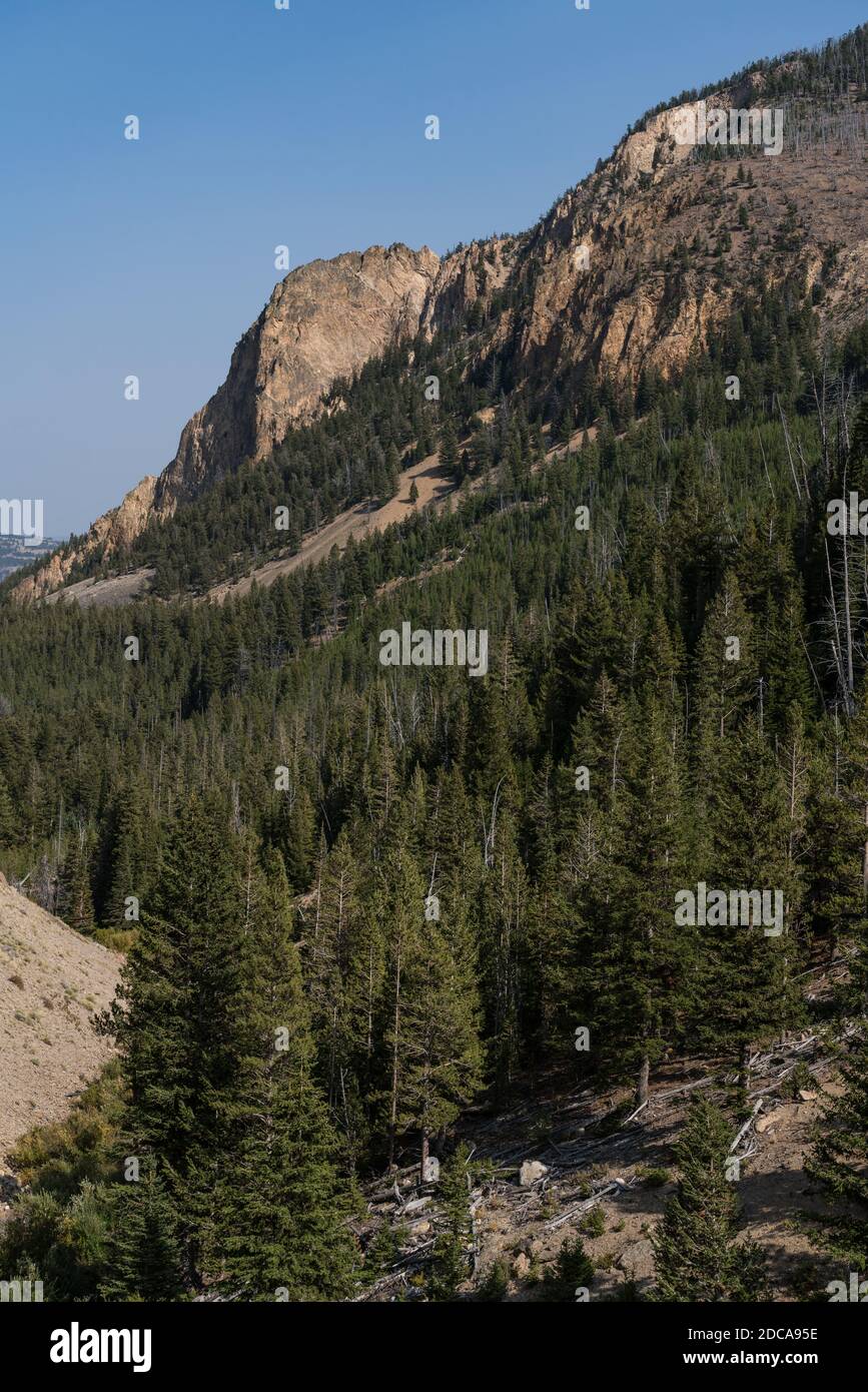 Tourist yellowstone gate hi-res stock photography and images - Alamy