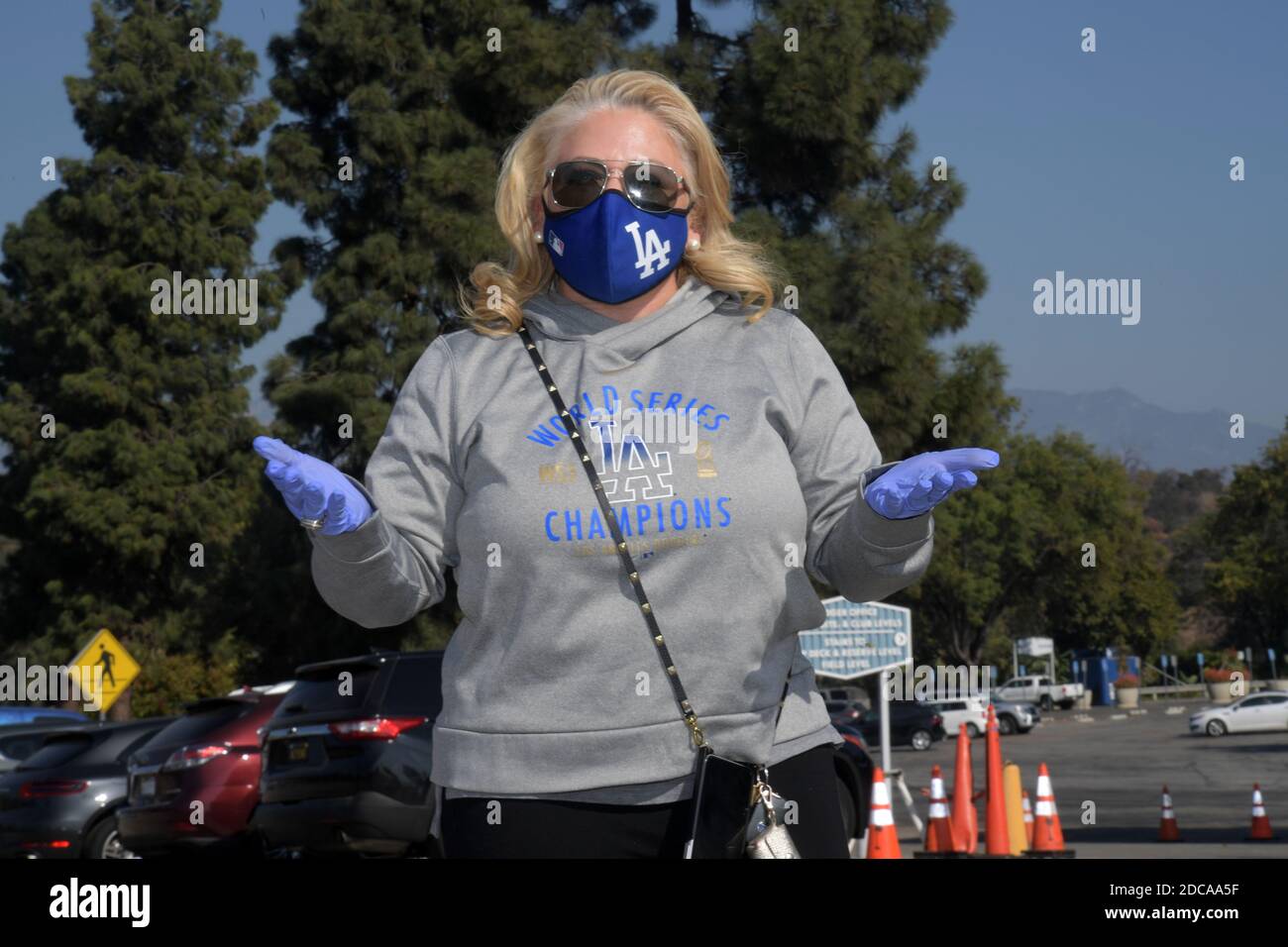 Los Angeles, United States. 19th Nov, 2020. Los Angeles Dodgers ...