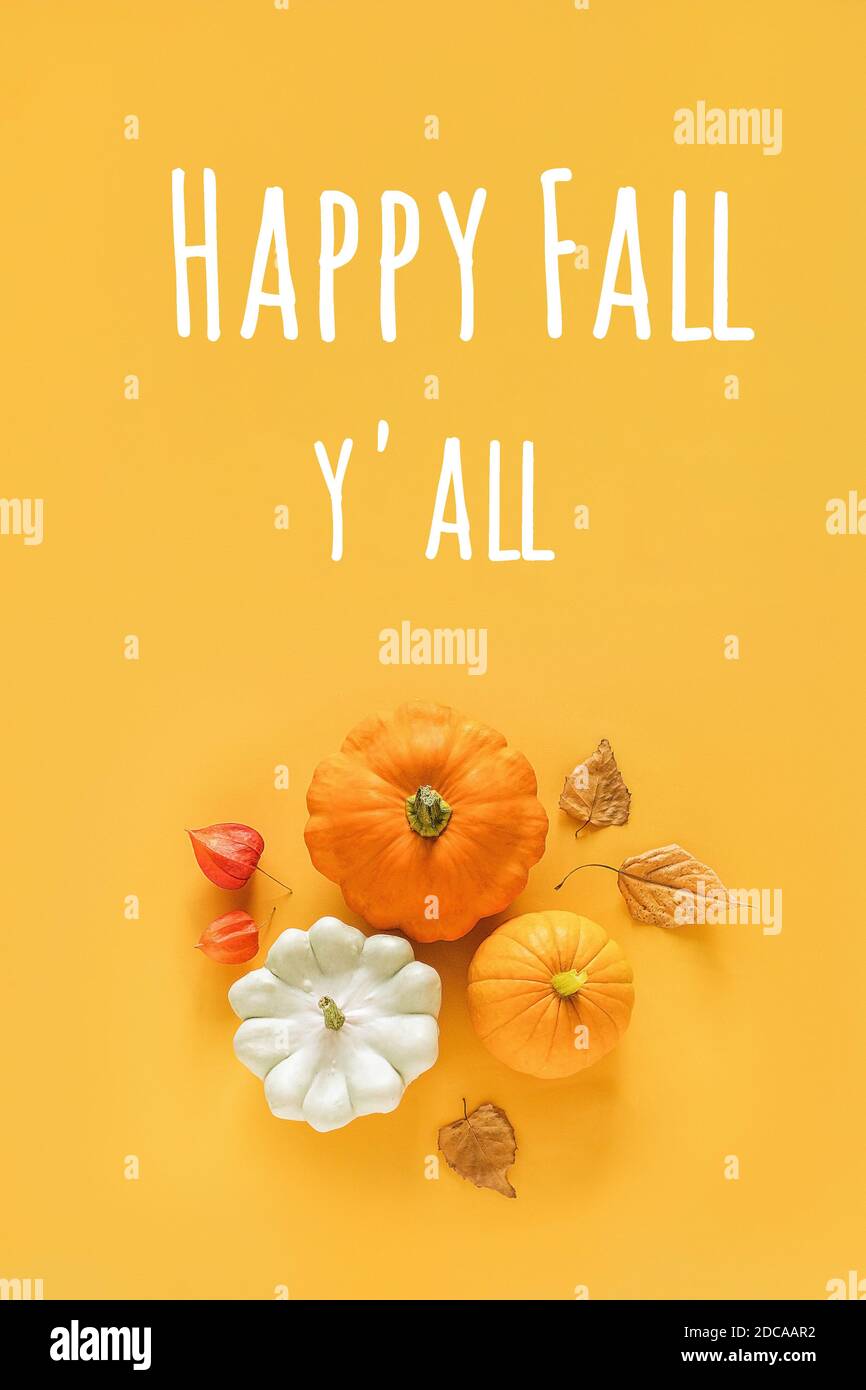 Happy fall y'all text and fall composition made from pattison, squash ...