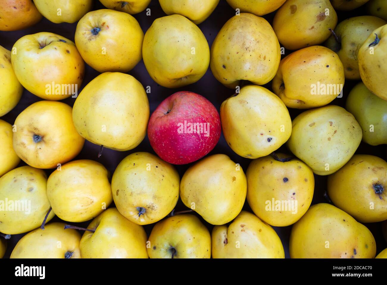 Green ones hi-res stock photography and images - Alamy