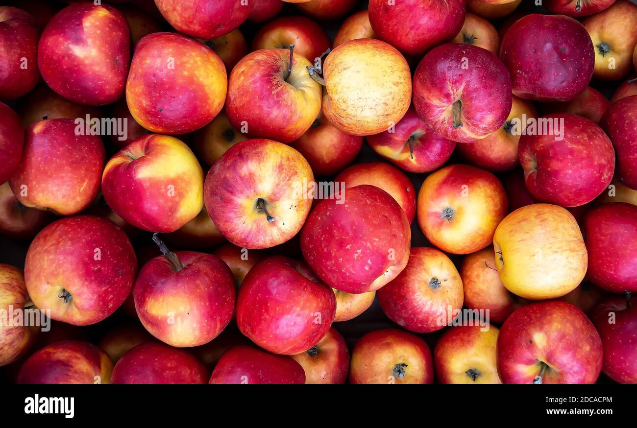 Lot apples in boxes hi-res stock photography and images - Alamy