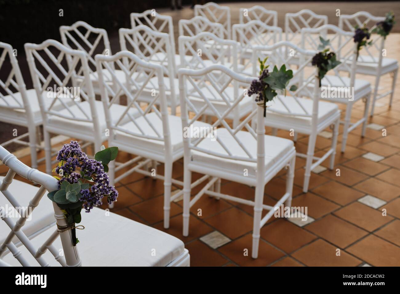 A selective focus shot of white chairs decorated with purple flowers ...