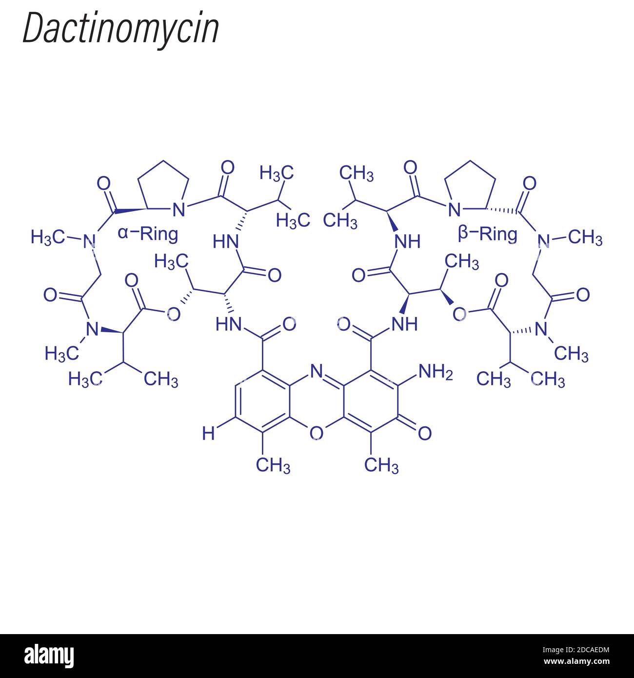 Skeletal formula of Dactinomycin. Drug chemical molecule Stock Vector ...