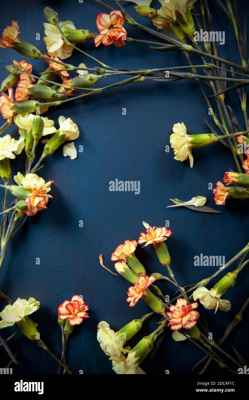 Blue carnations hi-res stock photography and images - Alamy