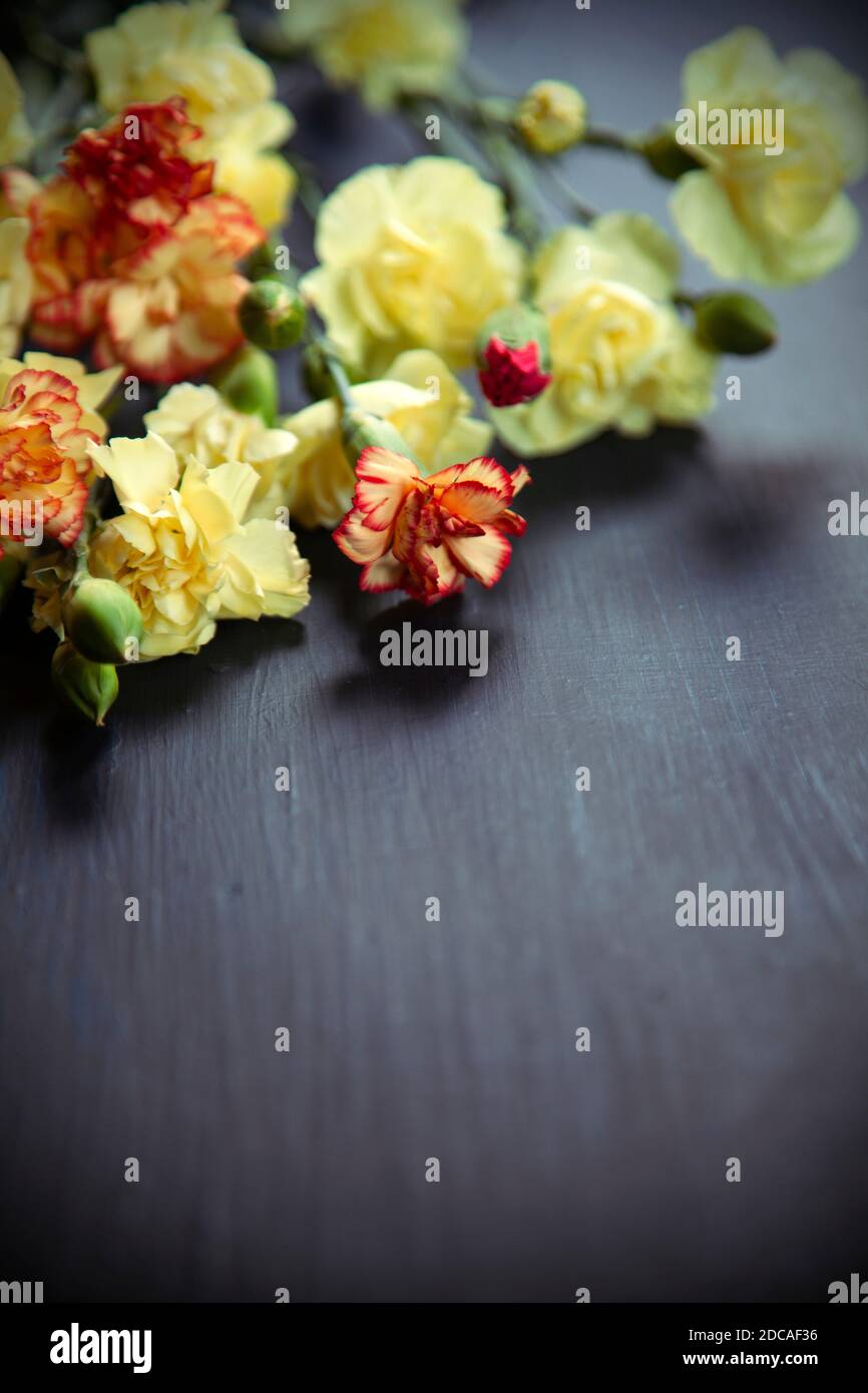 Bouquet of stems hi-res stock photography and images - Alamy