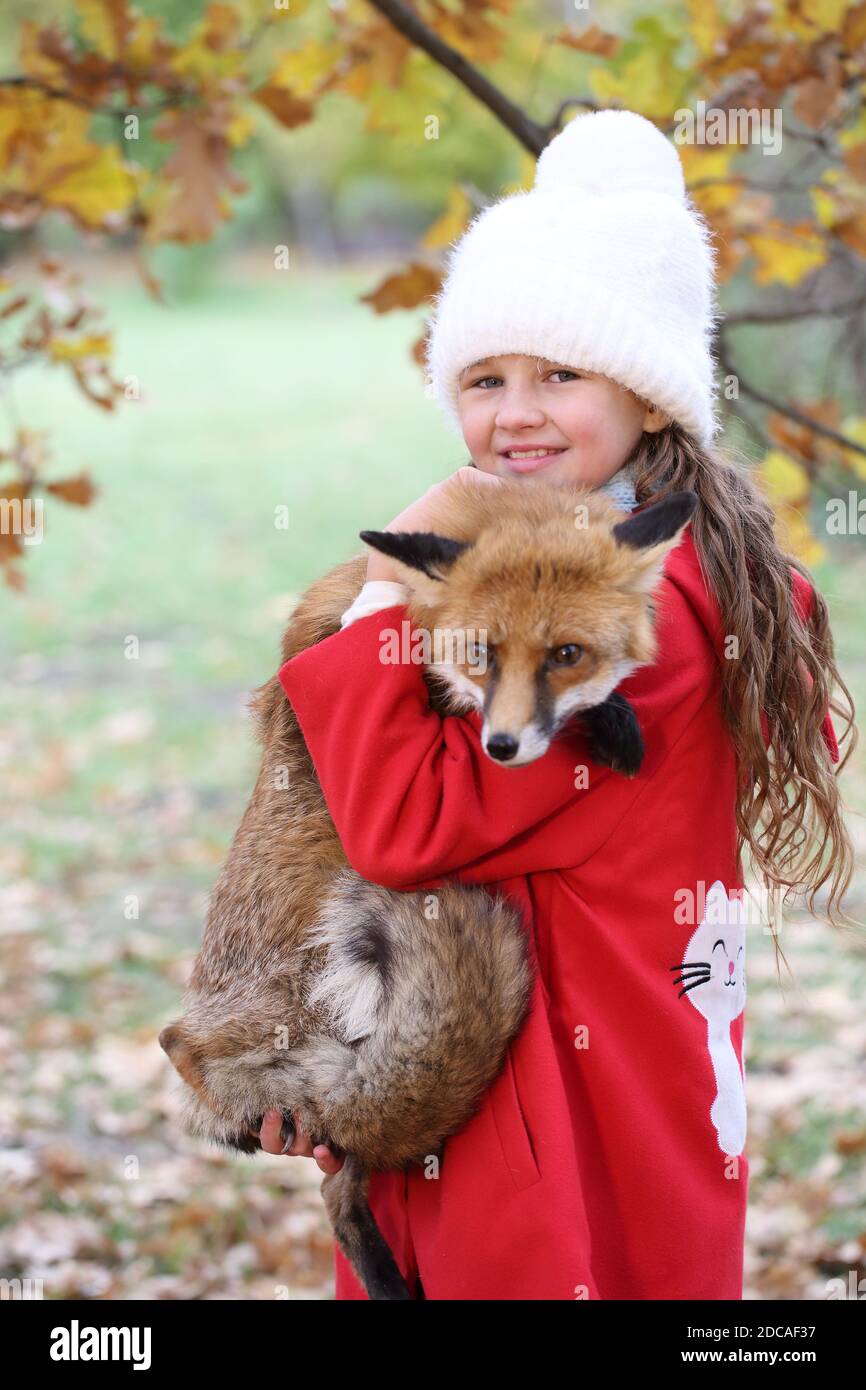 Girl holding fox in her arms in autumn park Stock Photo - Alamy