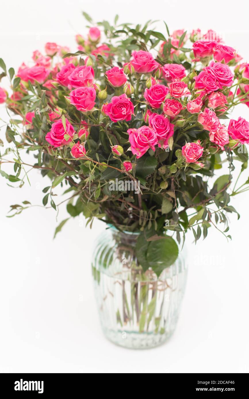 Spray roses hi-res stock photography and images - Alamy