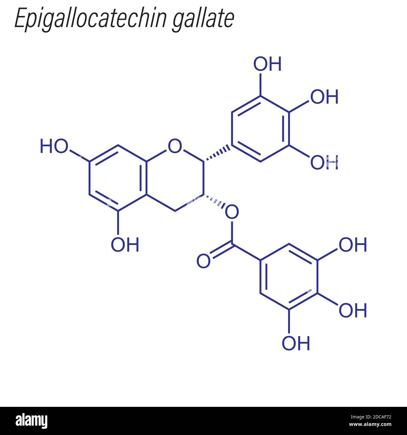 Gallate Stock Vector Images - Alamy