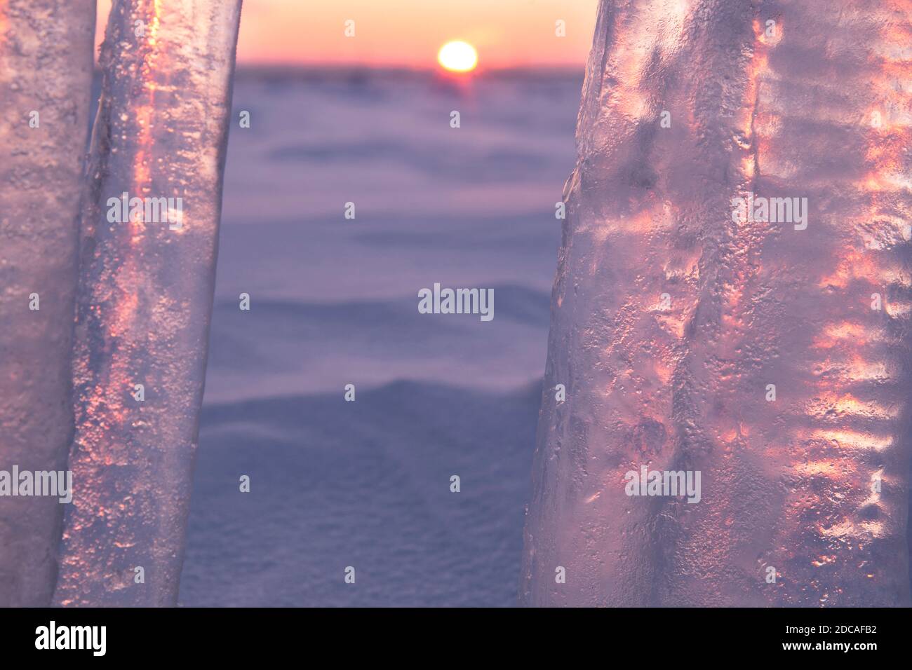 Transparent ice floes in the sunset rays on the background of a snow ...