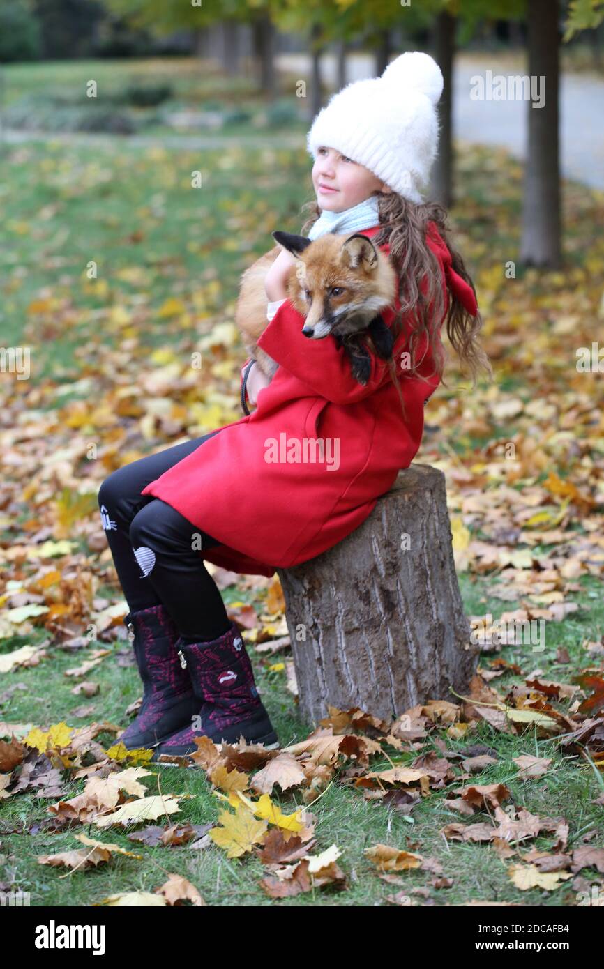 Girl holding fox in her arms in autumn park Stock Photo - Alamy