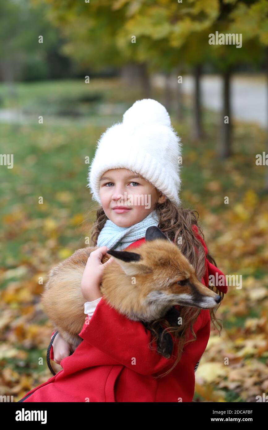Girl holding fox in her arms in autumn park Stock Photo - Alamy