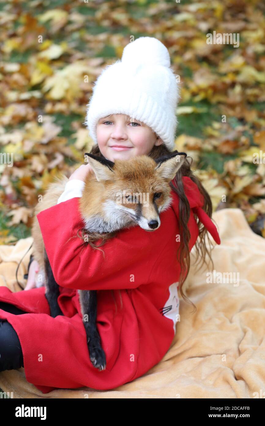 Girl holding fox in her arms in autumn park Stock Photo - Alamy