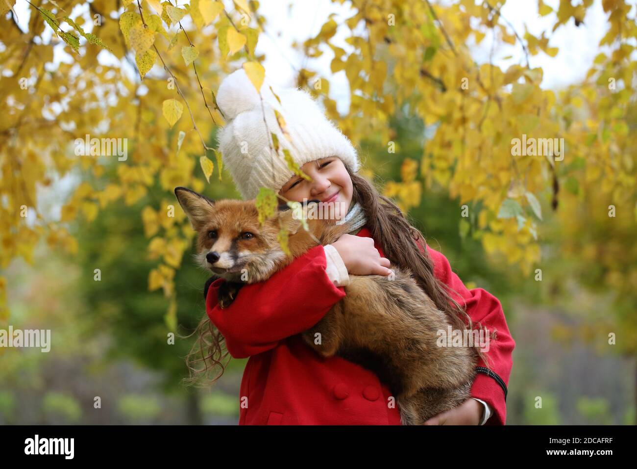 Girl holding fox in her arms in autumn park Stock Photo - Alamy