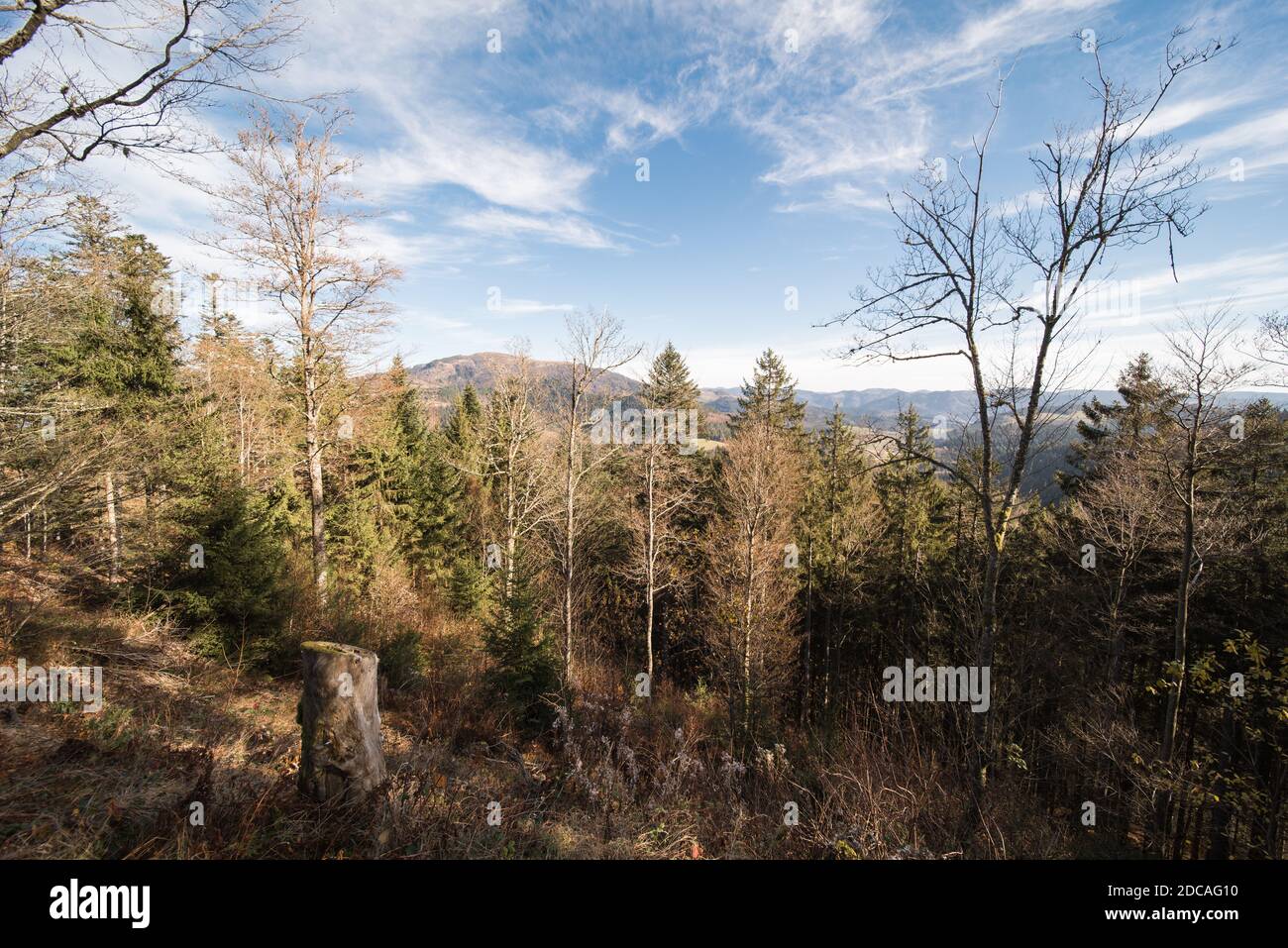 black forest germany landscape, near Belchen Stock Photo - Alamy