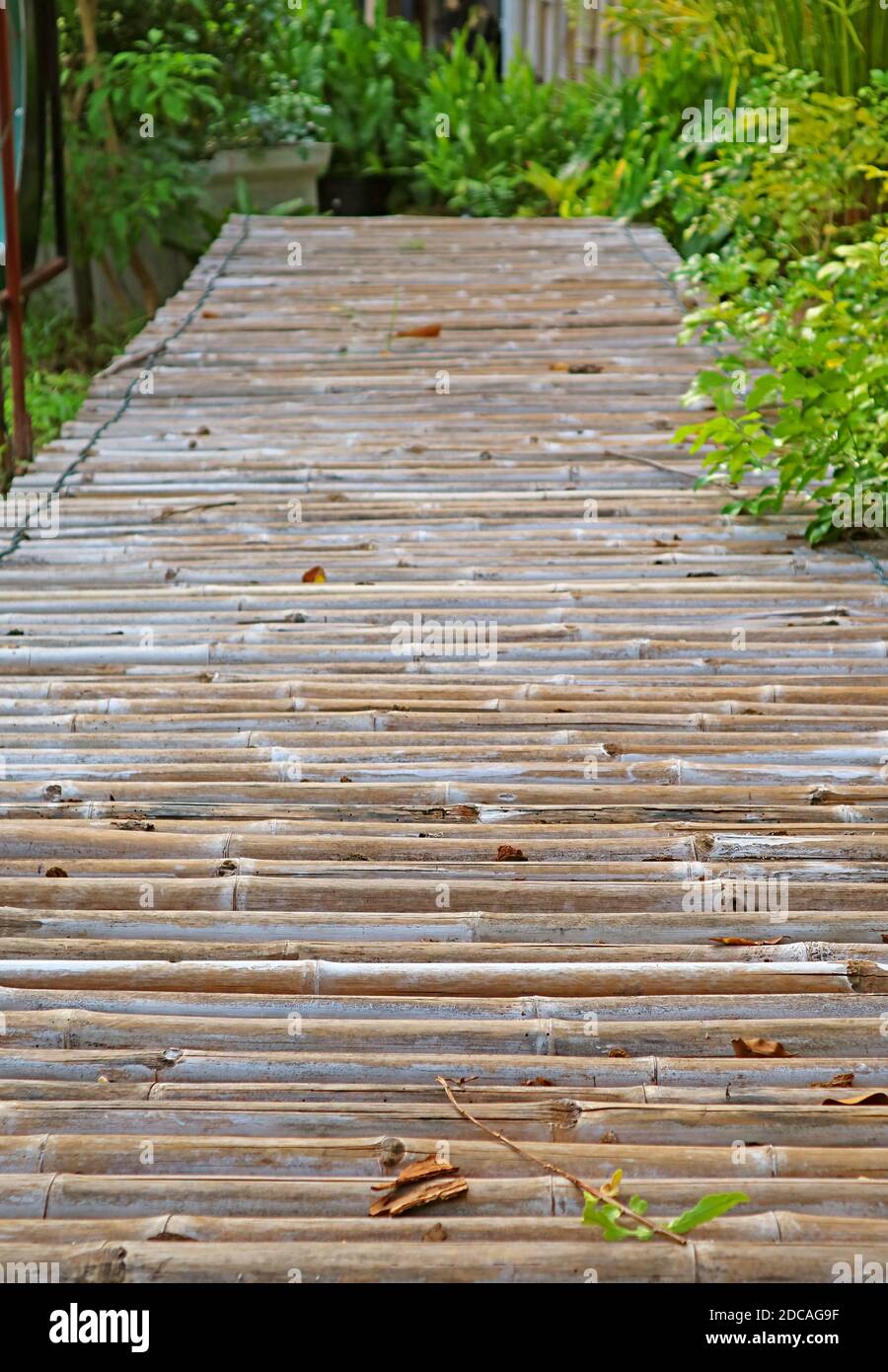 Bamboo walkway hi-res stock photography and images - Alamy