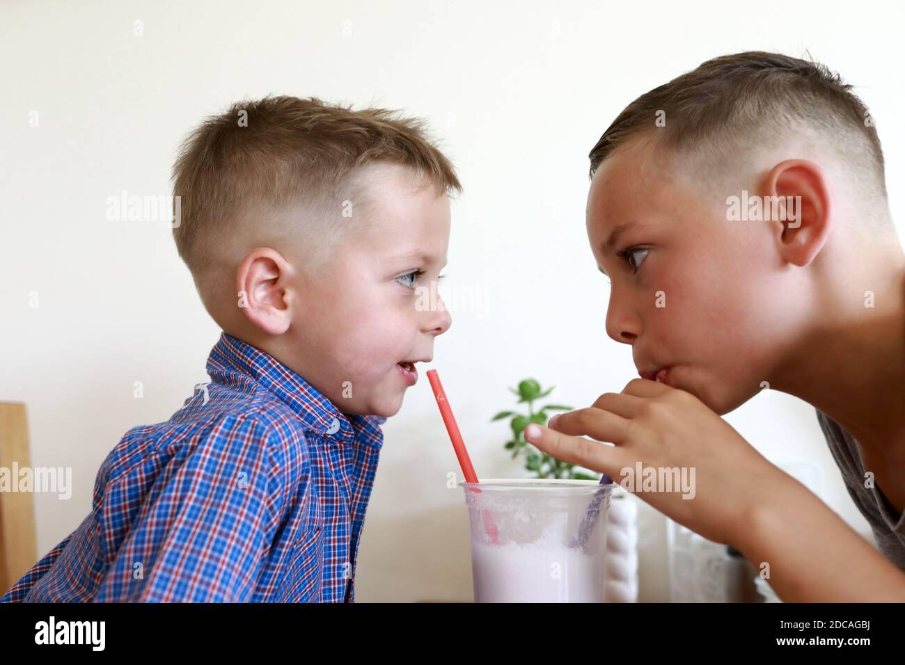 Kids drinking vanilla milkshake in a cafe Stock Photo - Alamy