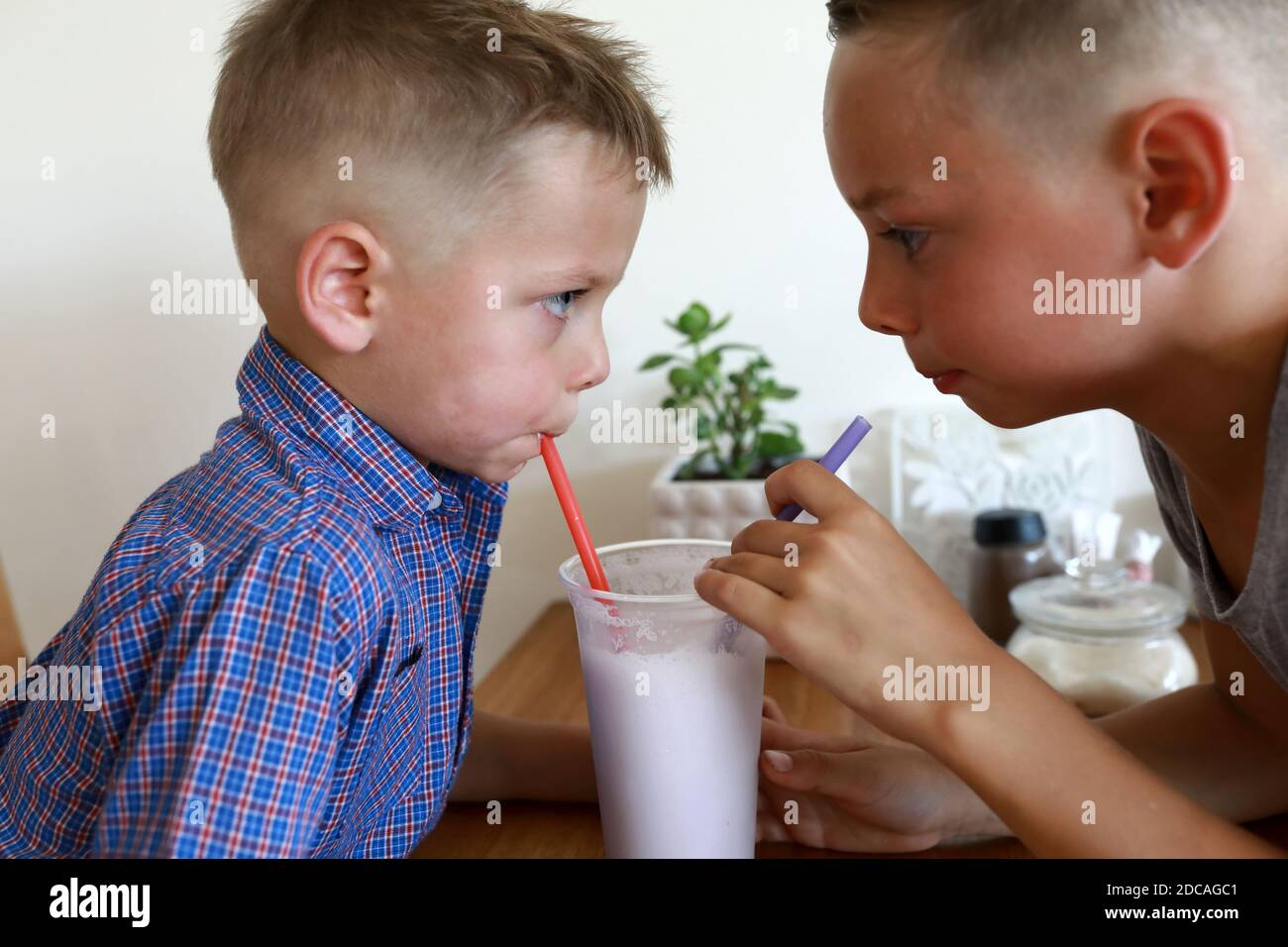 Children drinking vanilla milkshake in a cafe Stock Photo - Alamy