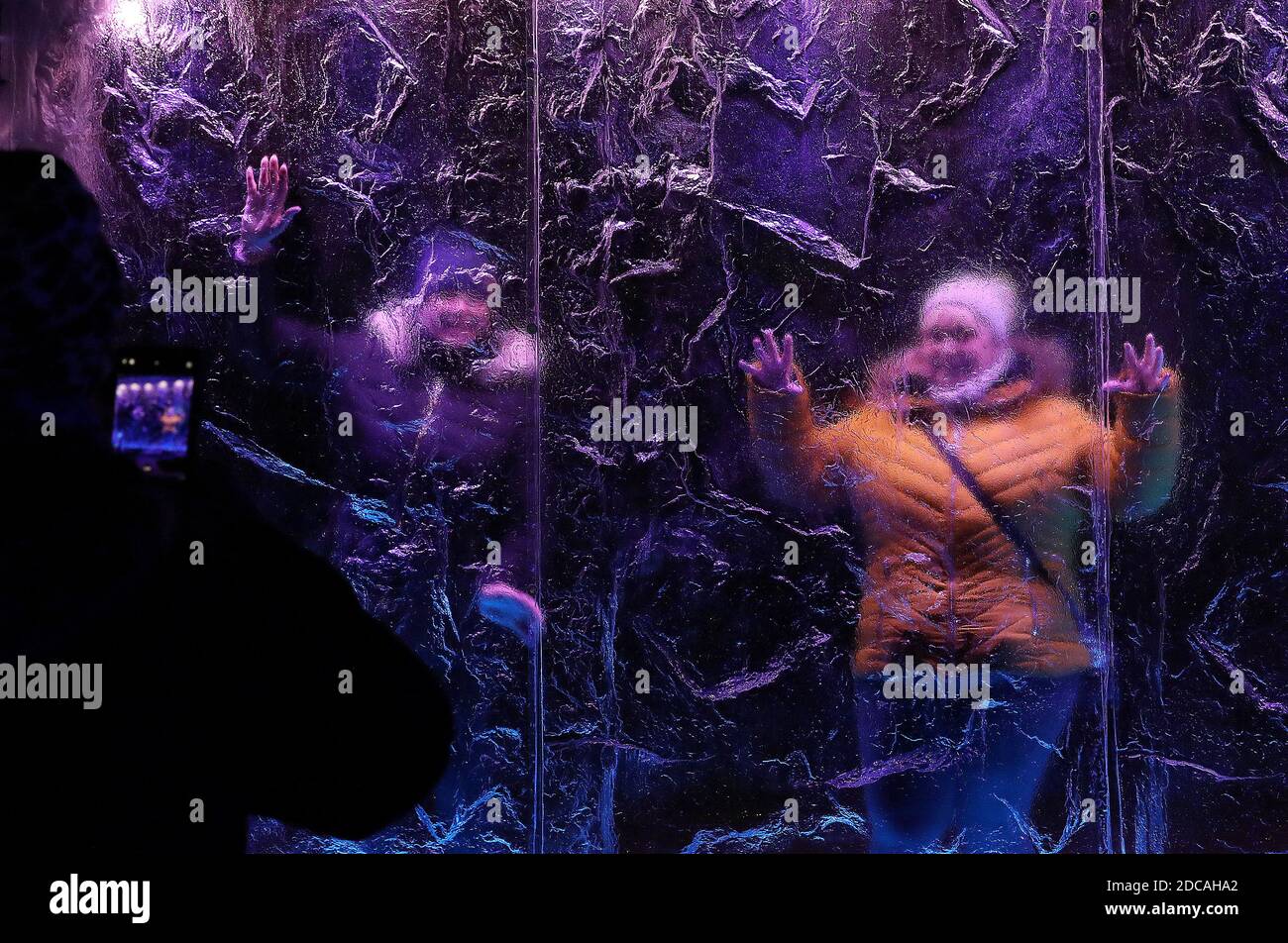 Edinburgh zoo christmas nights hi-res stock photography and images - Alamy